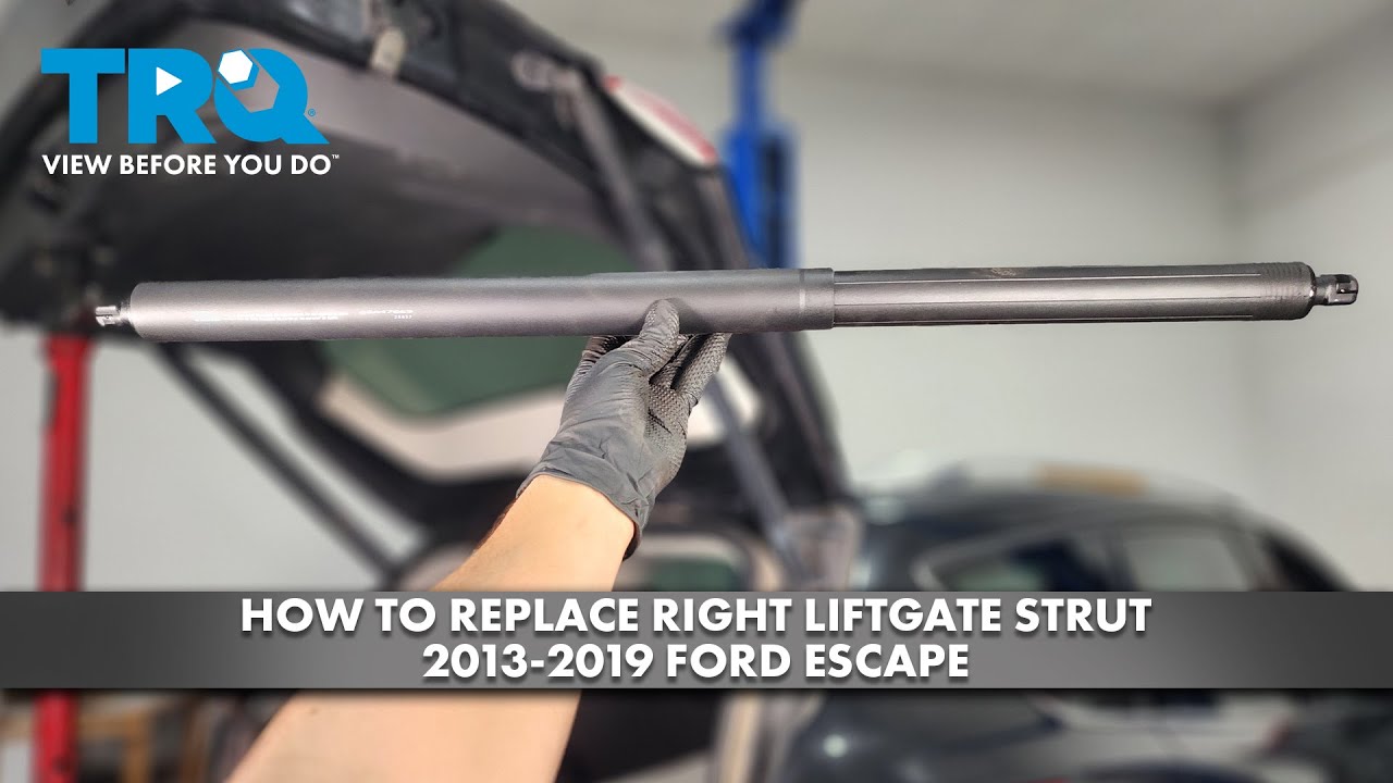 How to Replace Right Liftgate Strut 2013-2019 Ford Escape | 1A Auto